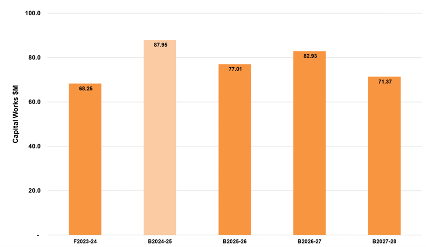 Council Budget 2024–25