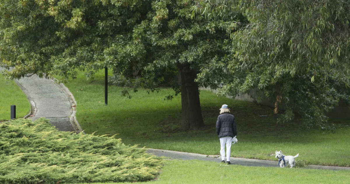 City of Boroondara ward boundary review | City of Boroondara