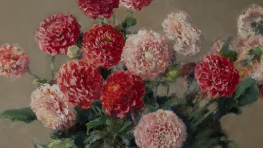 Explore Boroondara | City of Boroondara