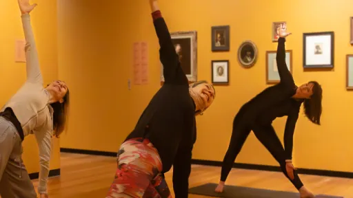 Explore Boroondara | City of Boroondara